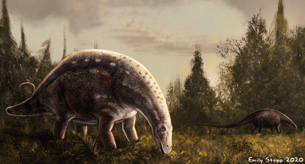 Brachytrachelopan & The Evolution of Small-Necked Sauropods – Max's ...
