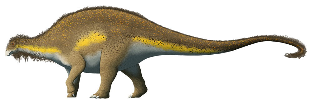 Brachytrachelopan & The Evolution of Small-Necked Sauropods – Max's ...