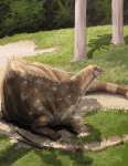 Brachytrachelopan & The Evolution of Small-Necked Sauropods – Max's ...