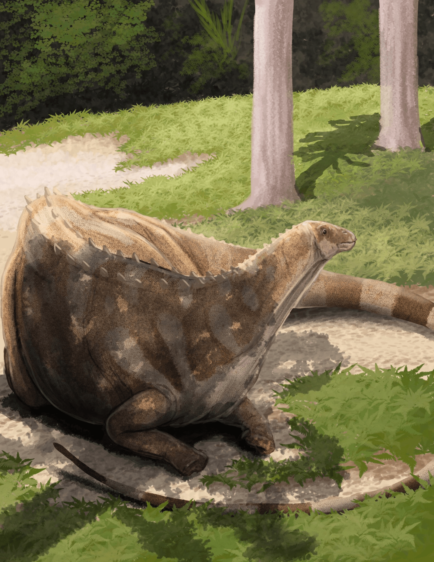 Brachytrachelopan & The Evolution of Small-Necked Sauropods – Max's ...