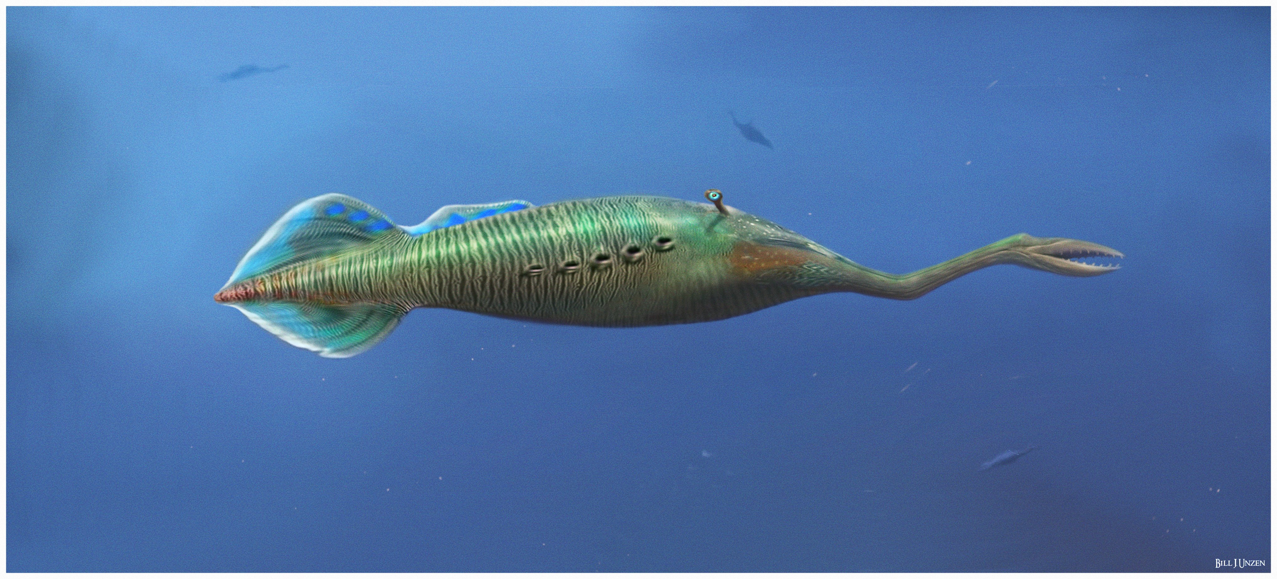 What was the Tully Monster? – Max's Blogo-Saurus