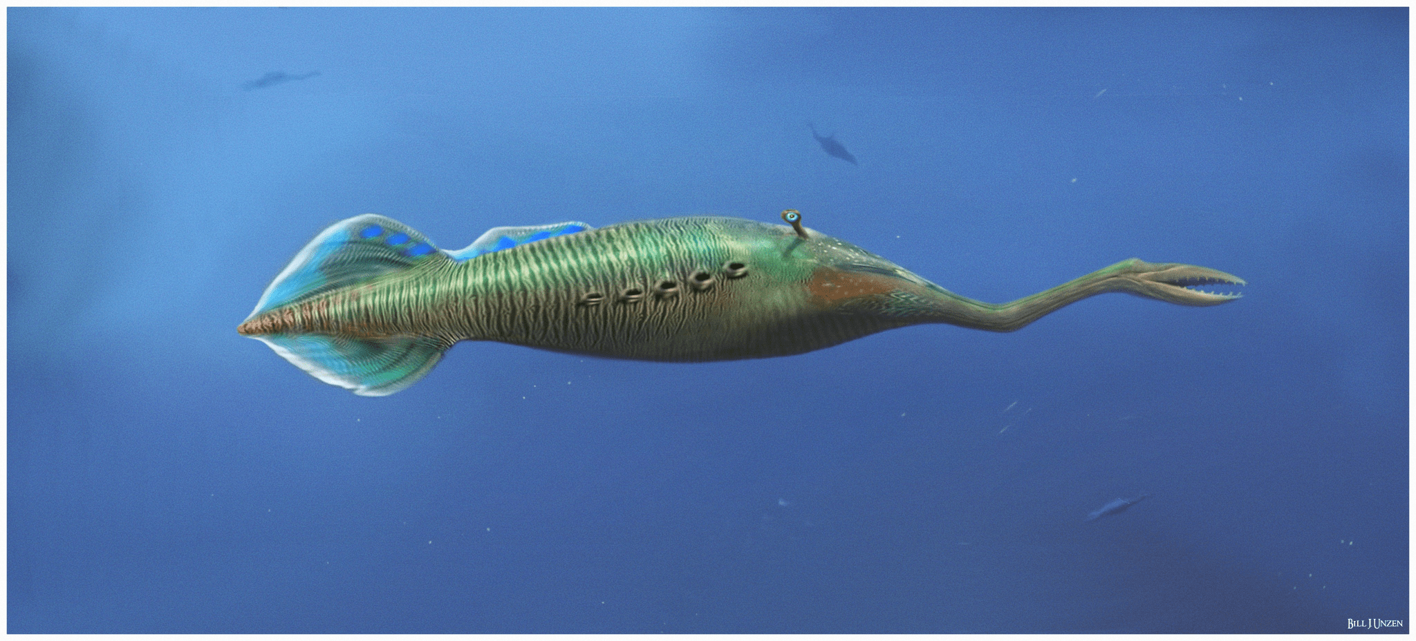 What was the Tully Monster? – Max's Blogo-Saurus