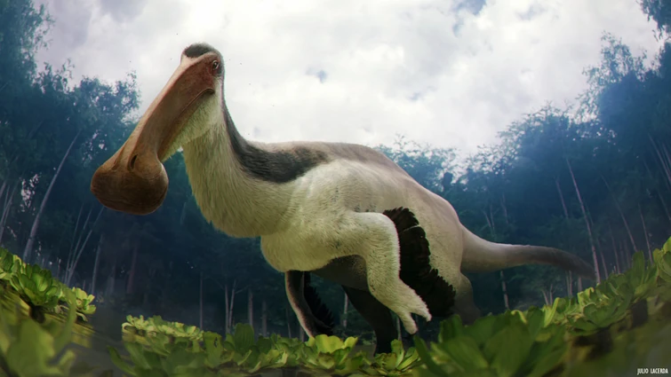 Meet Deinocheirus, Mongolia’s Bizarre Dino-Duck – Max's Blogo-Saurus