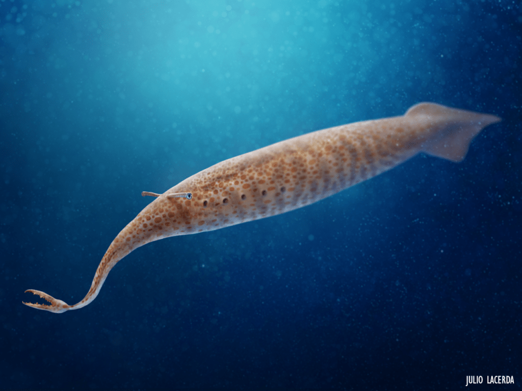 What was the Tully Monster? – Max's Blogo-Saurus