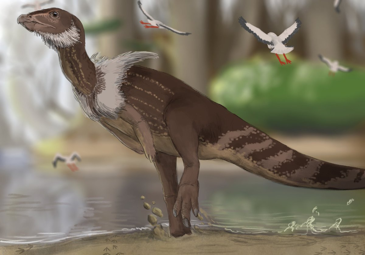 Keeping Your Ears to the Ground: Was Thescelosaurus a Burrowing ...