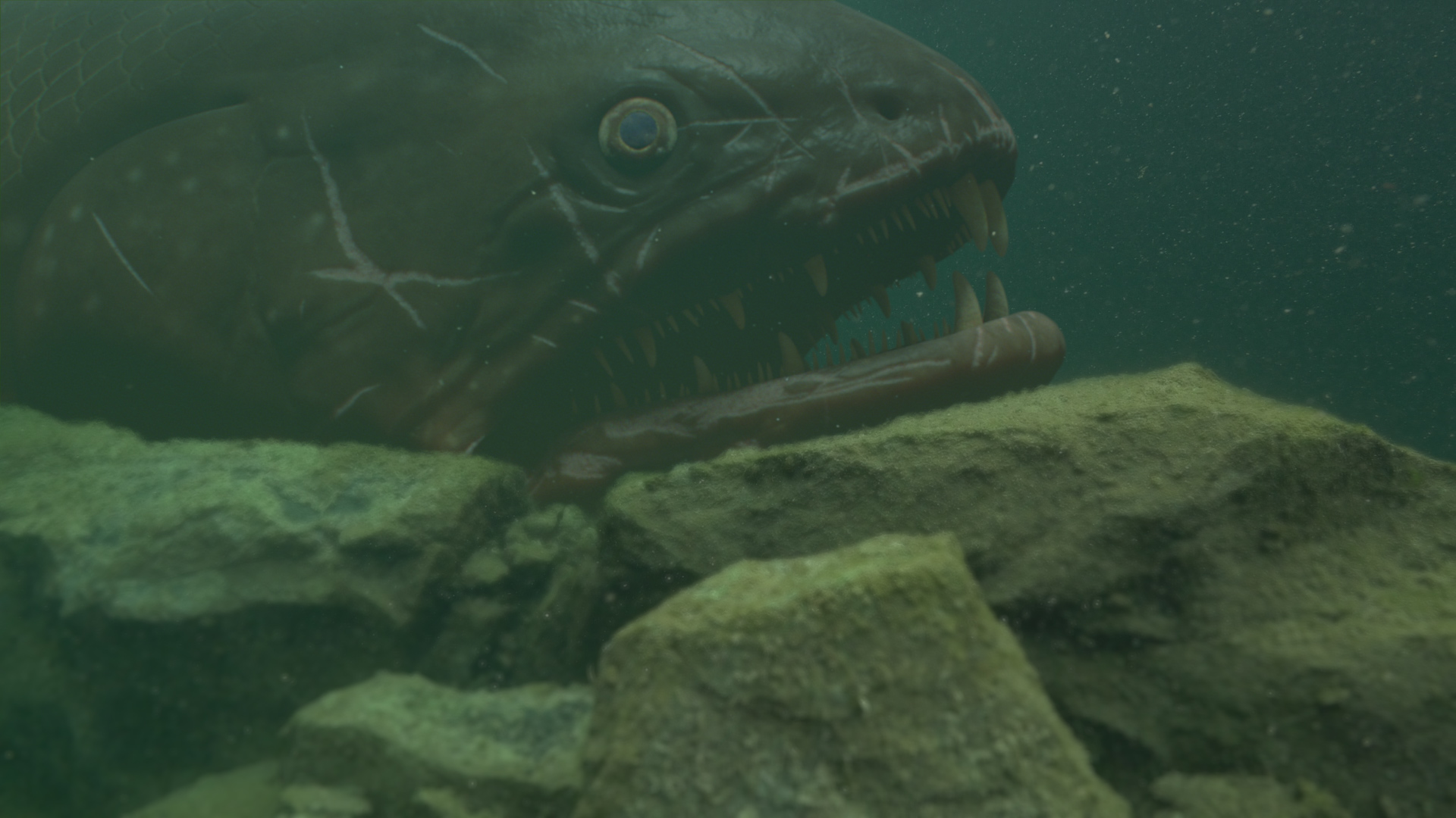 Dino Docs: River Monsters Prehistoric Terror – Max's Blogo-Saurus