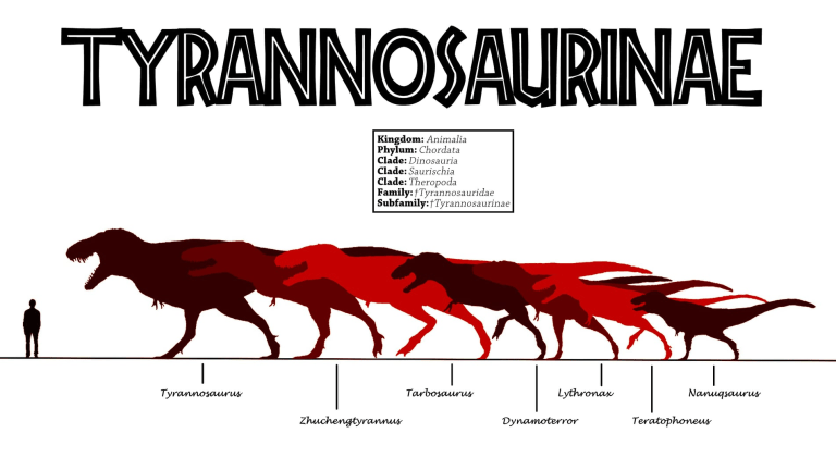 Meet Tyrannosaurus mcraeensis: the Newest Species of Giant Tyrannosaur ...