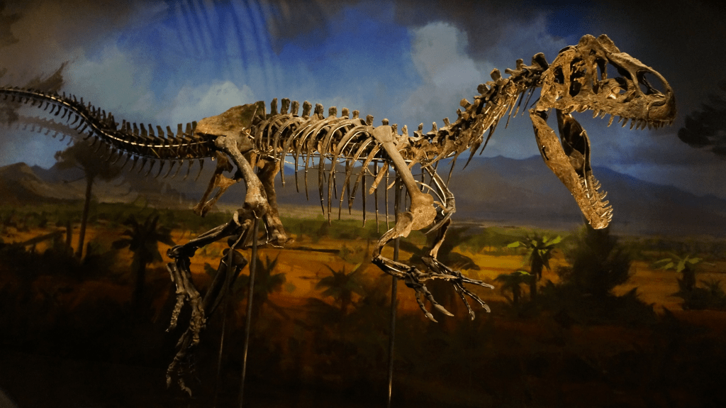 The 10 Most Common Dinosaurs in the Fossil Record – Max's Blogo-Saurus