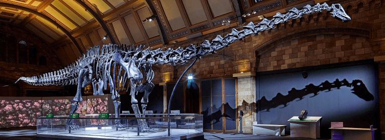 The 10 Most Common Dinosaurs in the Fossil Record – Max's Blogo-Saurus