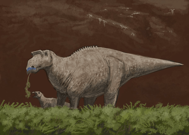 The 10 Most Common Dinosaurs in the Fossil Record – Max's Blogo-Saurus