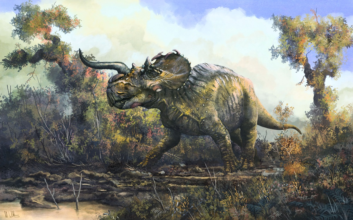 The 10 Most Common Dinosaurs in the Fossil Record – Max's Blogo-Saurus