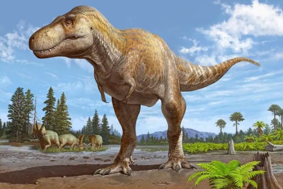 Meet Tyrannosaurus mcraeensis: the Newest Species of Giant Tyrannosaur ...