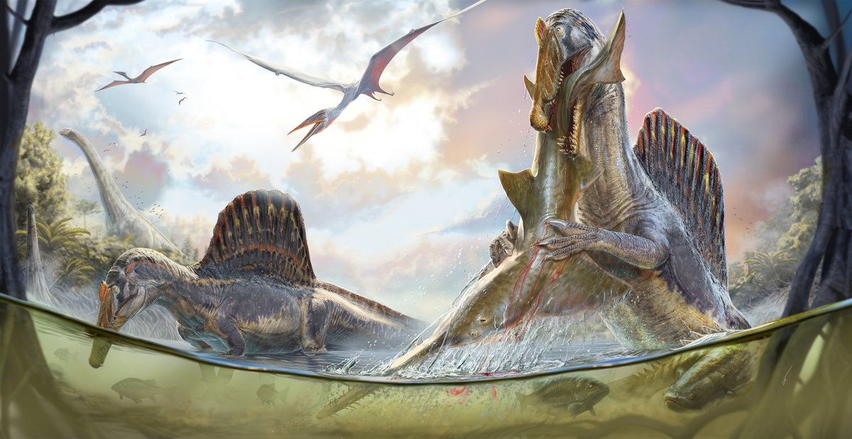 The Return of Spinosaurus: New Paper Challenges Subaquatic Foraging ...