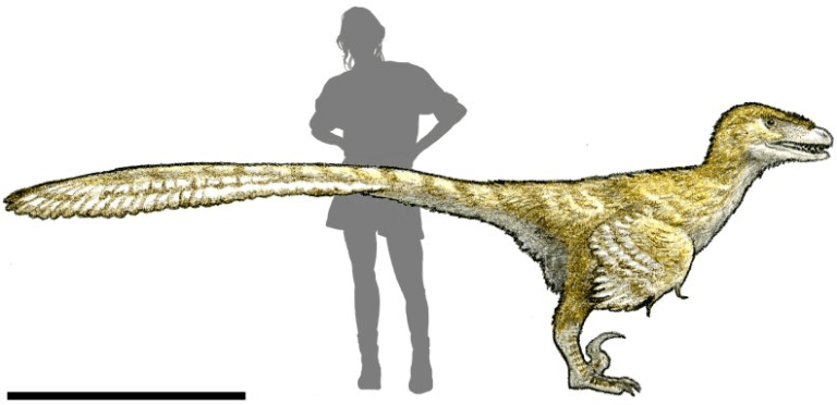 A History of Giant Raptors in the Fossil Record – Max's Blogo-Saurus