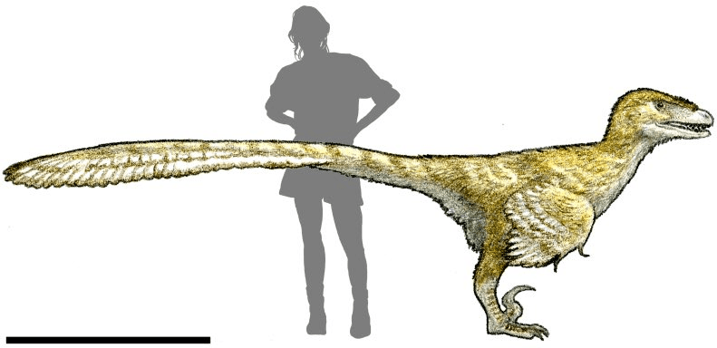 A History of Giant Raptors in the Fossil Record – Max's Blogo-Saurus