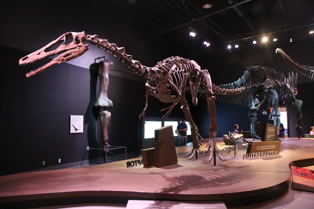 A History of Giant Raptors in the Fossil Record – Max's Blogo-Saurus