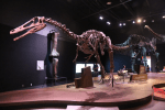 A History of Giant Raptors in the Fossil Record – Max's Blogo-Saurus