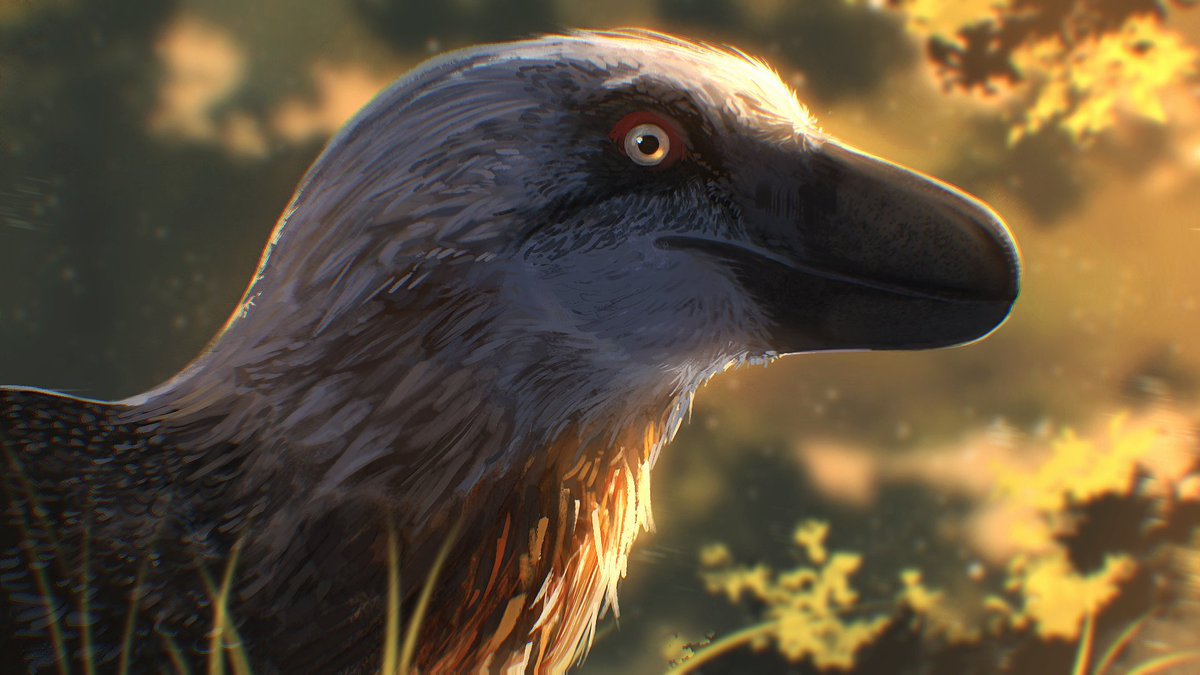 A History of Giant Raptors in the Fossil Record – Max's Blogo-Saurus