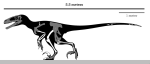 A History of Giant Raptors in the Fossil Record – Max's Blogo-Saurus