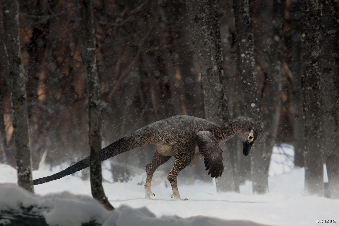 A History of Giant Raptors in the Fossil Record – Max's Blogo-Saurus