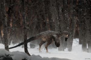 A History of Giant Raptors in the Fossil Record – Max's Blogo-Saurus