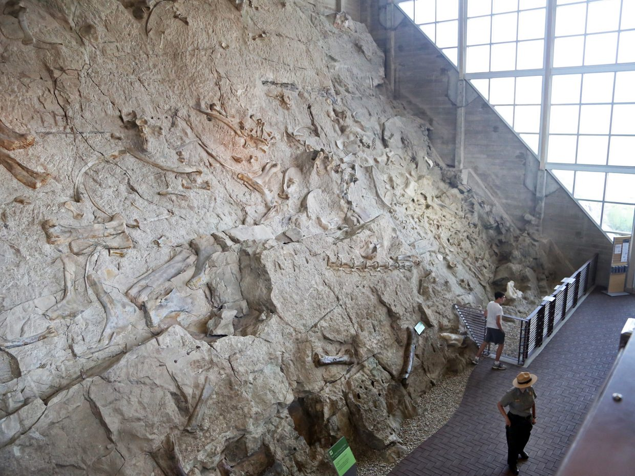 Die Fossilien Sind Gut: The Importance of Lagerstätte in the Fossil ...