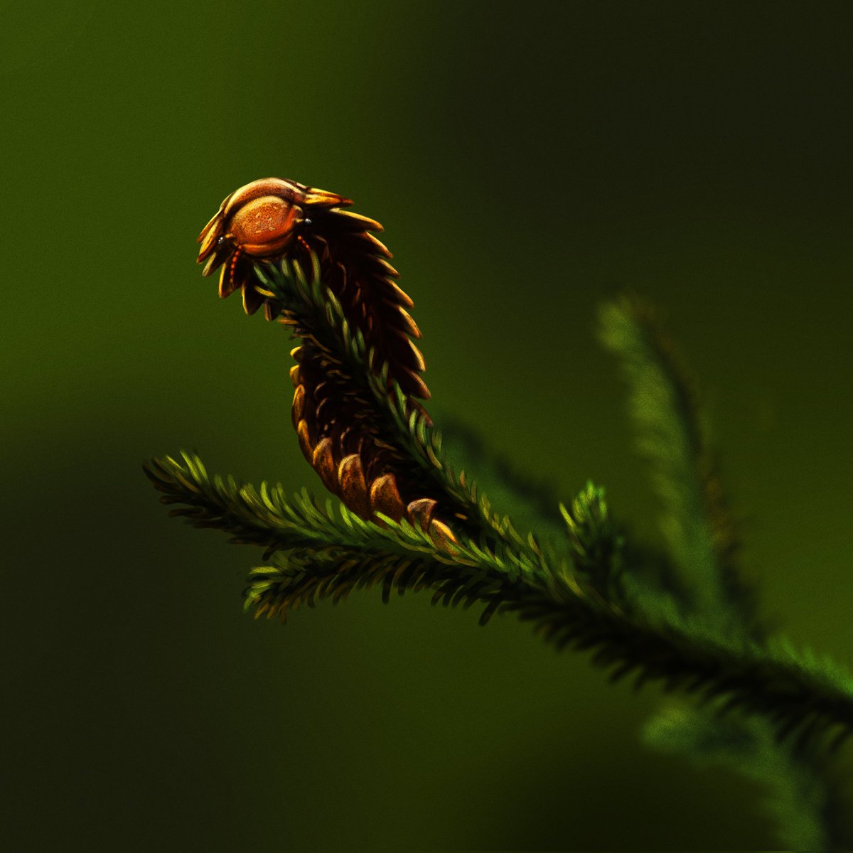 To Put a Face with a Name: The Newfound Head of Arthropleura ...