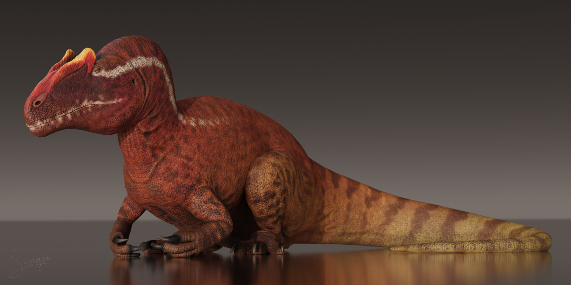 Two Dinosaurs in One? Breaking Down the Saurophaganax Debacle – Max's ...