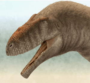 Examination of Lost Carcharodontosaurus Bones Reveal New Horned Genus ...