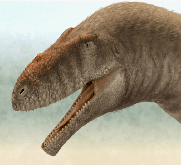 Examination of Lost Carcharodontosaurus Bones Reveal New Horned Genus ...