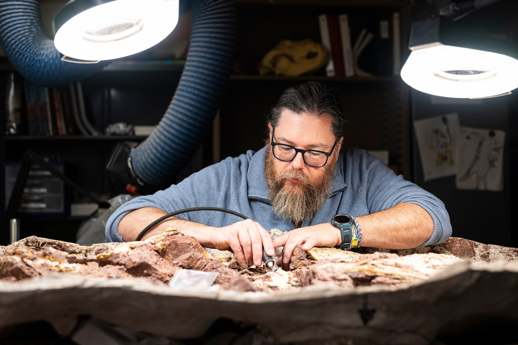 Ahvaytum bahndooiveche: North America’s Oldest Dinosaur – Max's Blogo ...