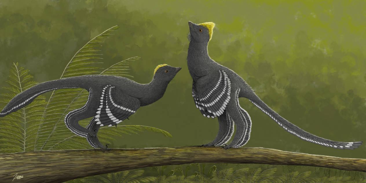 Dinosaur Dance Marks: A Prehistoric Courtship Ritual – Max's Blogo-Saurus