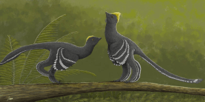 Dinosaur Dance Marks: A Prehistoric Courtship Ritual – Max's Blogo-Saurus