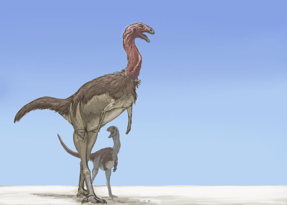 Limusaurus inextricabilis & The Art of Changing Anatomy into Adulthood ...