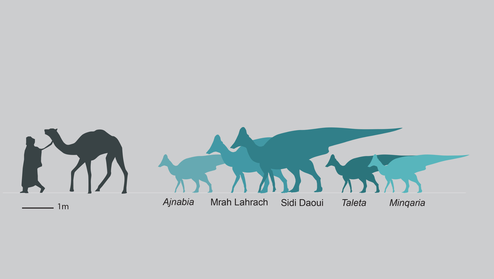 Moroccan Lambeosaurs: Darwin’s Finches, or Fragmentary Messes? – Max's ...