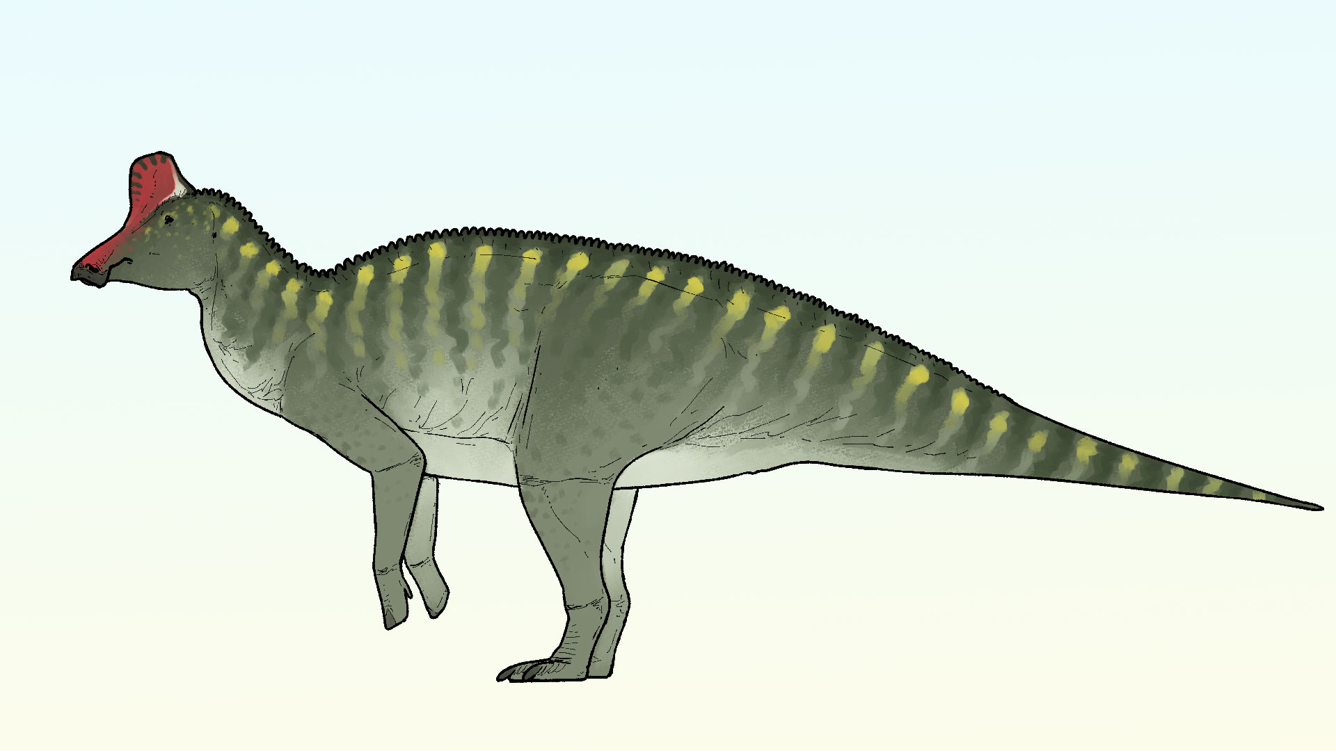 Moroccan Lambeosaurs: Darwin’s Finches, or Fragmentary Messes? – Max's ...