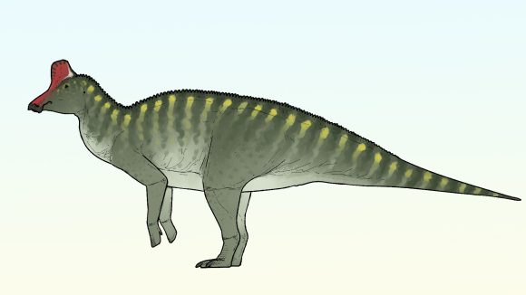 Max's Blogo-Saurus – Reflections of a Lifelong Paleonerd