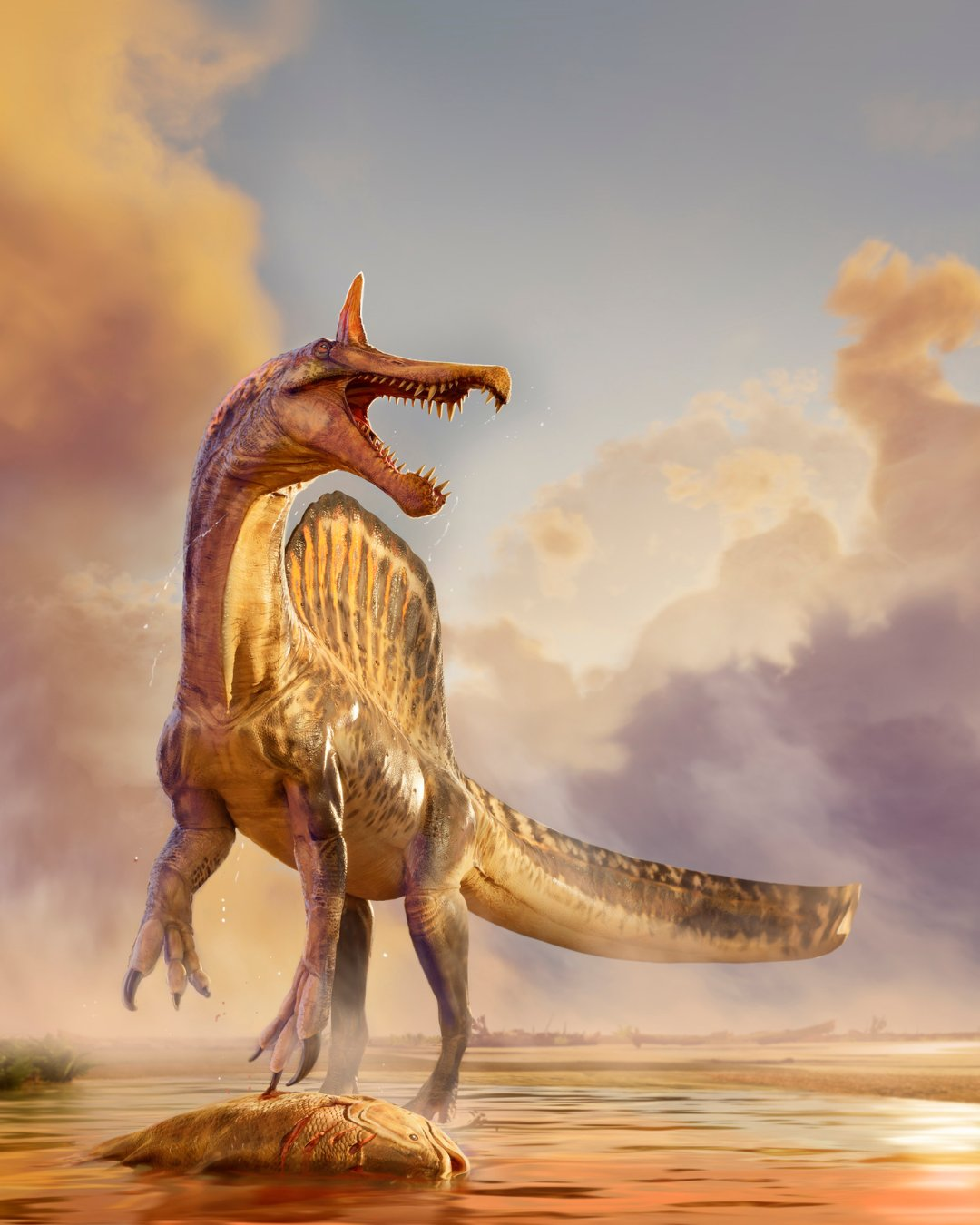 Spinosaurus mirabilis: The Sickle-Crested Spinosaur – Max's Blogo-Saurus