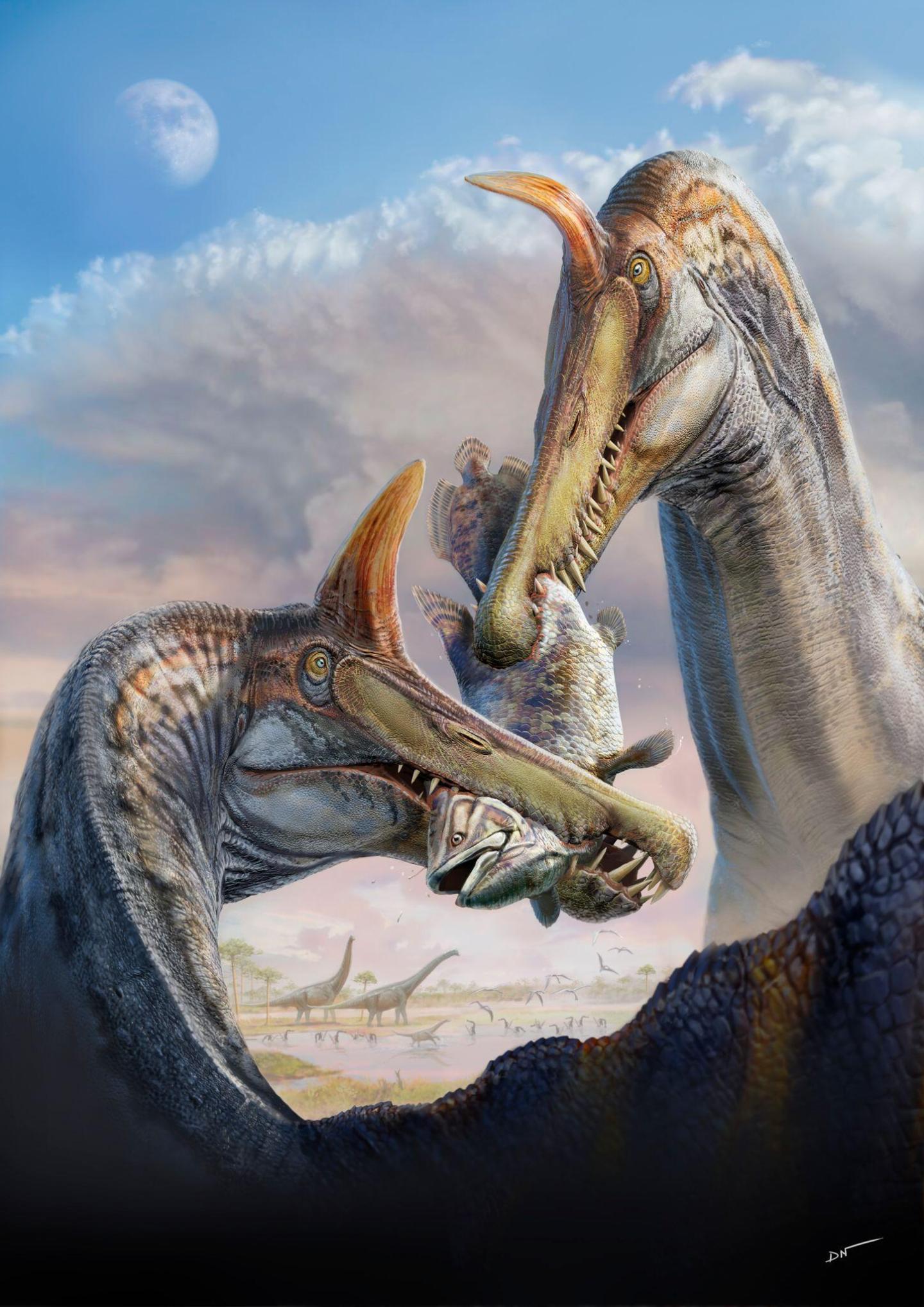 Spinosaurus mirabilis: The Sickle-Crested Spinosaur – Max's Blogo-Saurus